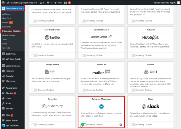Telegram Integration With Wordpress Fluent Forms