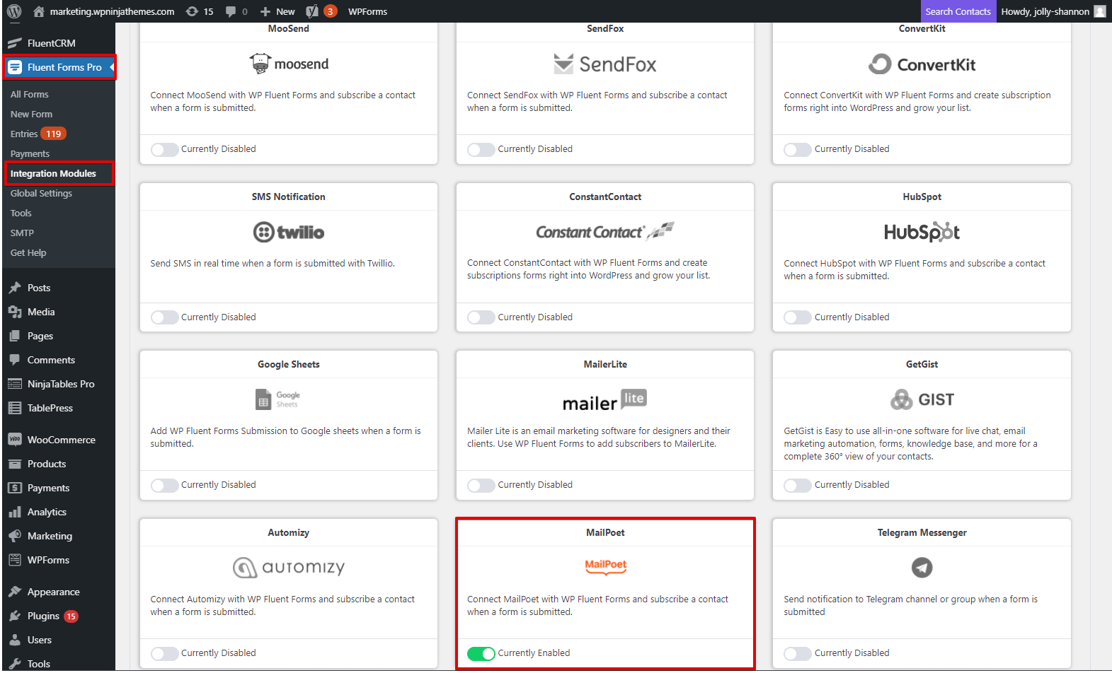 Connect MailPoet to your WordPress and Get More Subscribers - Fluent Forms