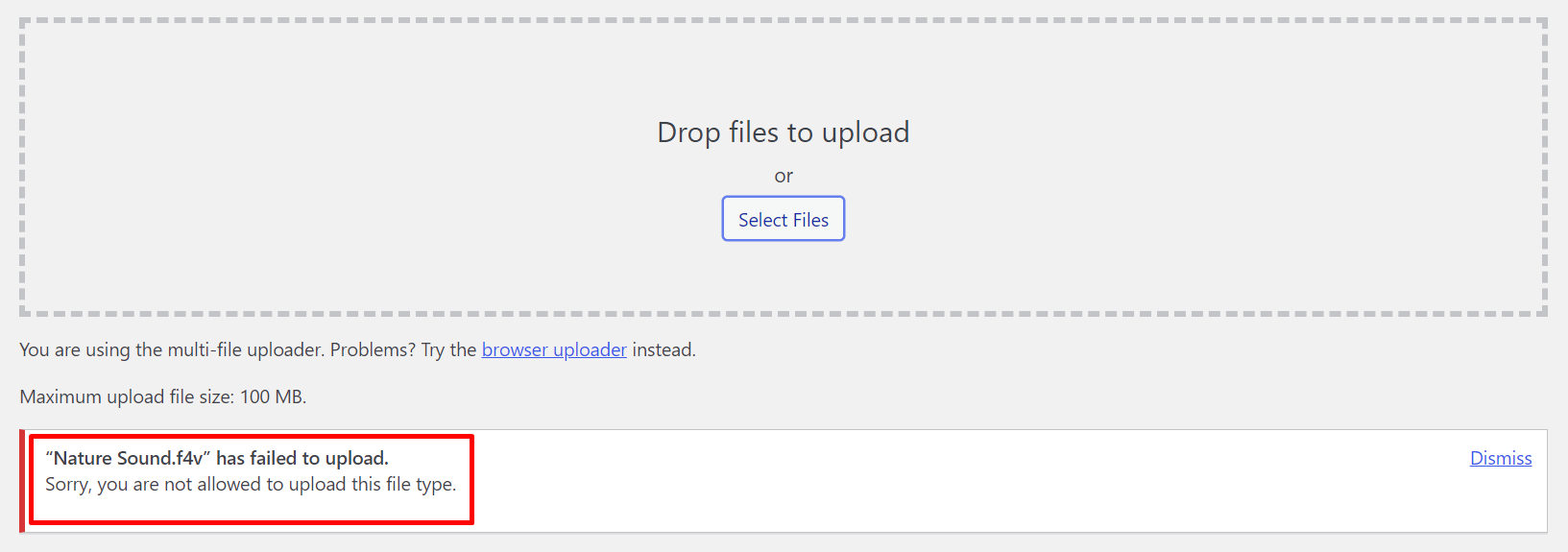 Most Common Wordpress Errors And Wordpress Bug Fixing Fluent Forms 2582