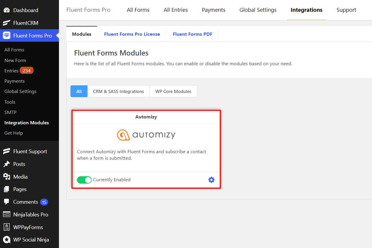 Automate Email Marketing with Automizy Integration in WordPress - Fluent Forms