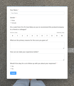 Create an NPS Survey Form in WordPress in 4 Steps - Fluent Forms