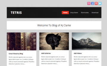 Free WordPress Themes for Artists: A Comprehensive Guide - Fluent Forms