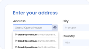 Address Autocomplete - Fluent Forms