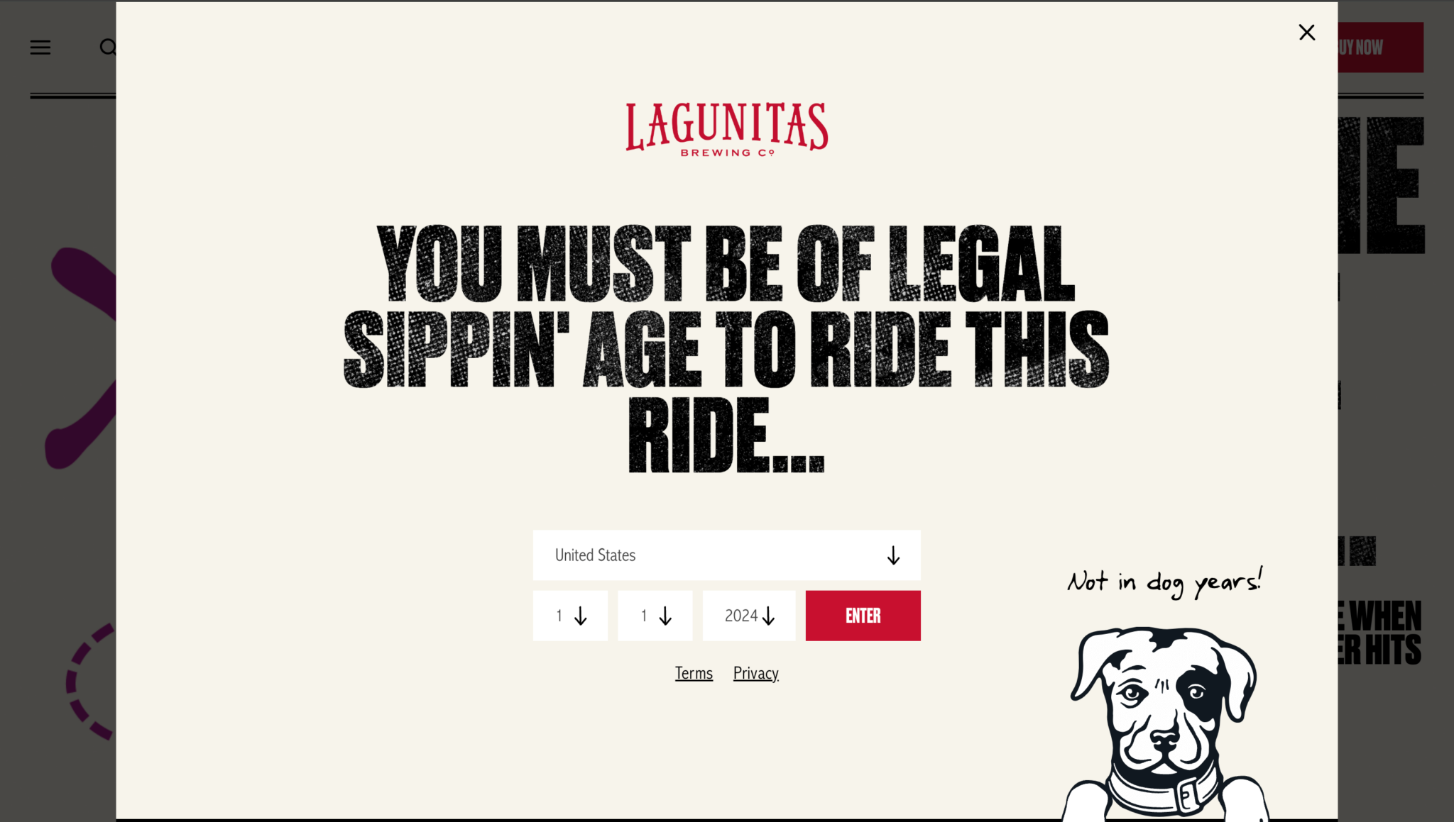 How to Create a Call to Action: Tips and Examples - Fluent Forms