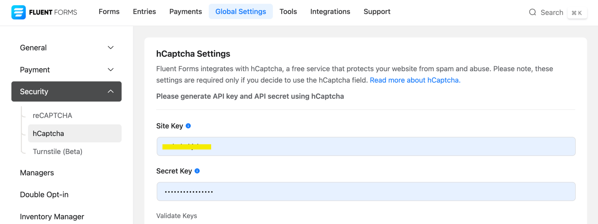 How to Keep Your Online Forms Safe from Spammers and Bots - Fluent Forms