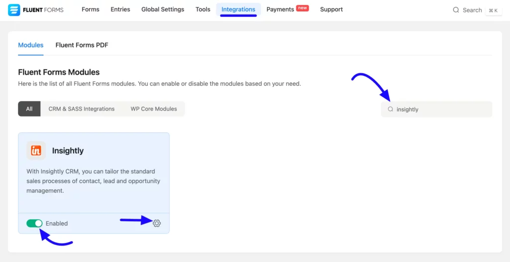 Insightly Integration with Fluent Forms - Fluent Forms